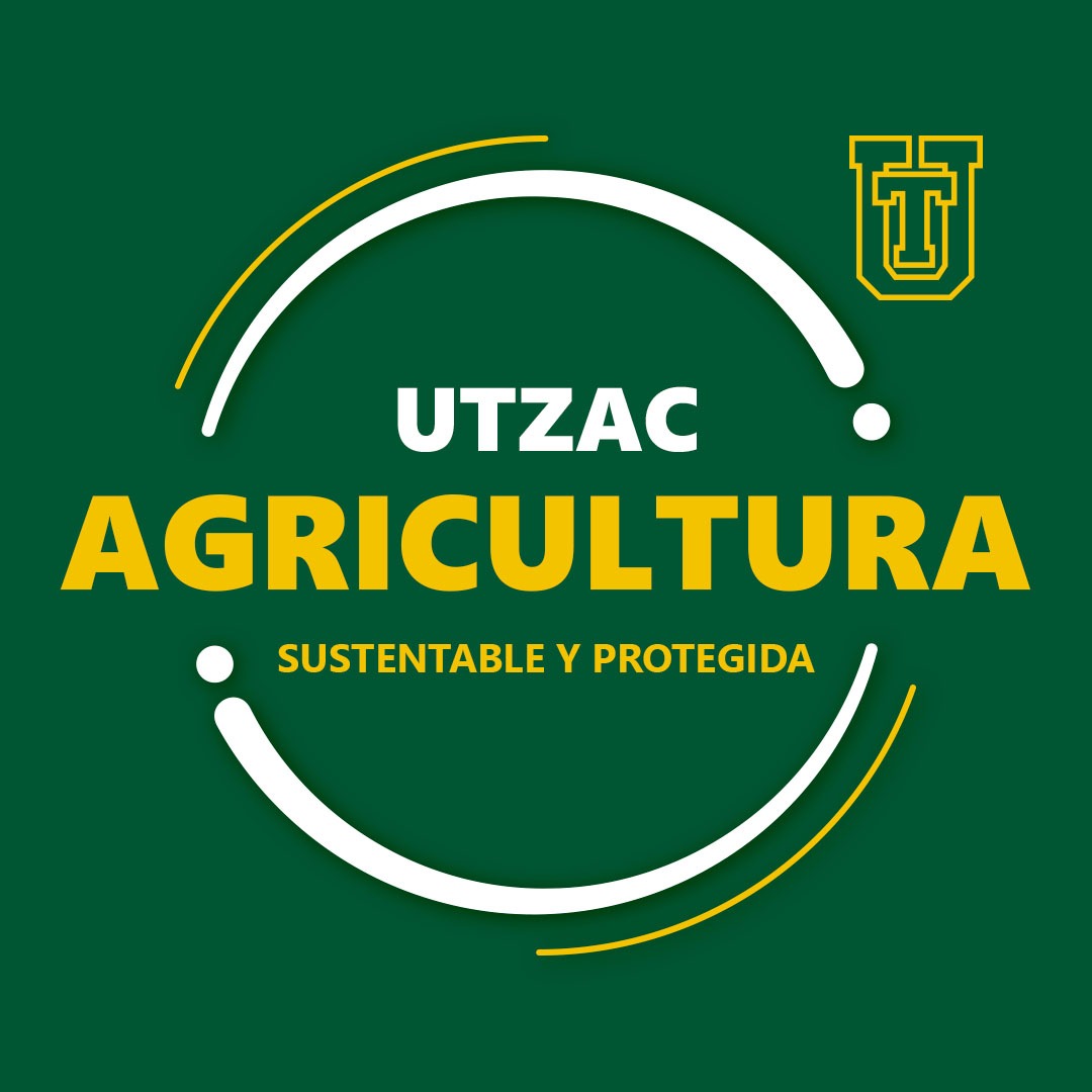 Página Principal (home) | UTZAC